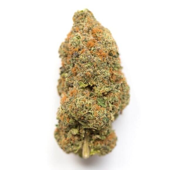 Afghan Big Bud Cannabis Seeds – Royal King Seeds