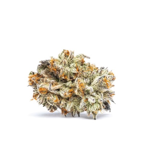 5 Alive Cannabis Seeds – Royal King Seeds