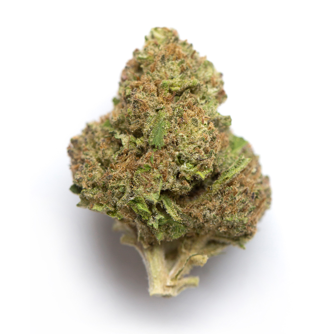 Blue Diesel Strain Cannabis Seeds – Royal King Seeds