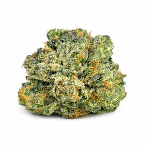 Afgoo Cannabis Seeds – Resin-Forward Indica-Style Genetics For Home Grows